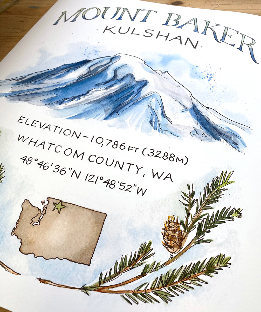 Mount Baker Watercolor Art Print – Elizabeth Person Art