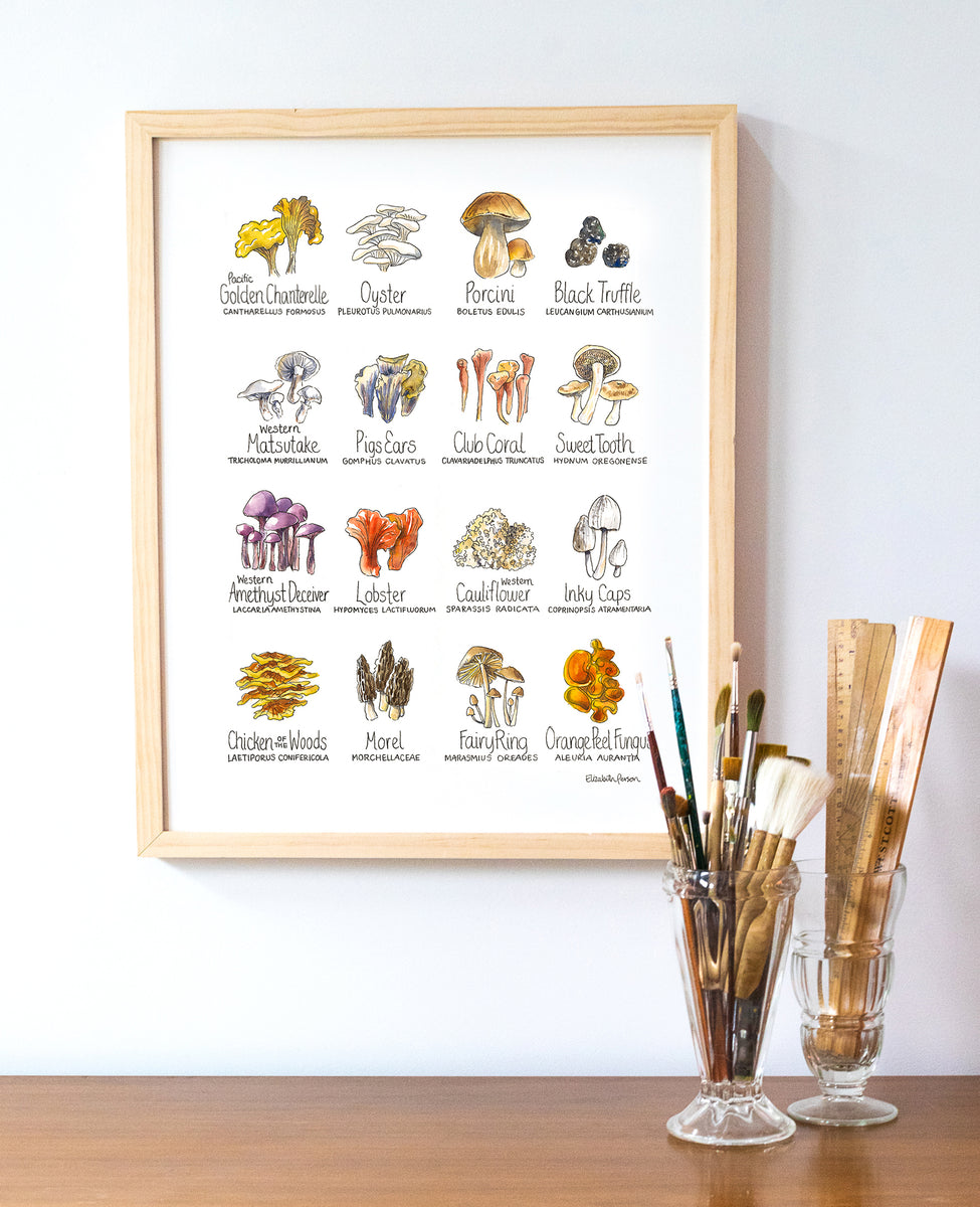 Mushroom Chart – Elizabeth Person Art