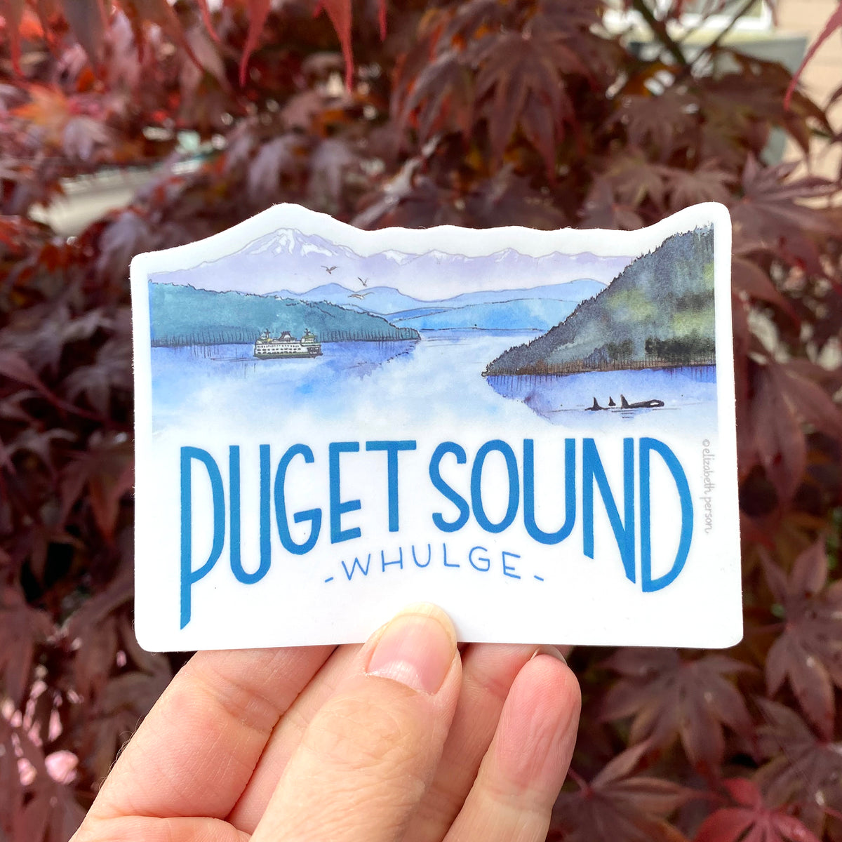 Puget Sound Vinyl Sticker – Elizabeth Person Art & Design