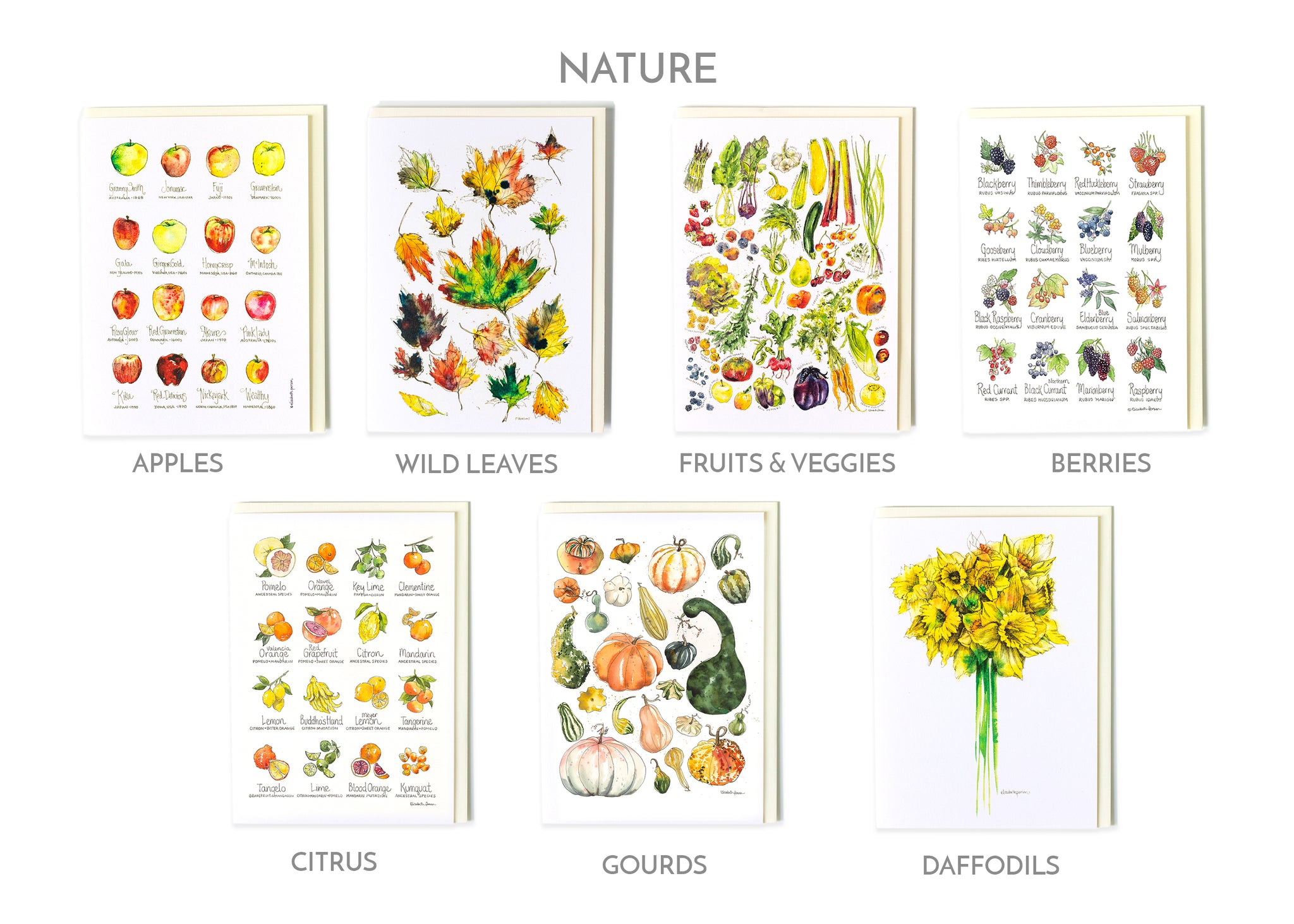 20 Card Pack - Your Choice – Elizabeth Person Art