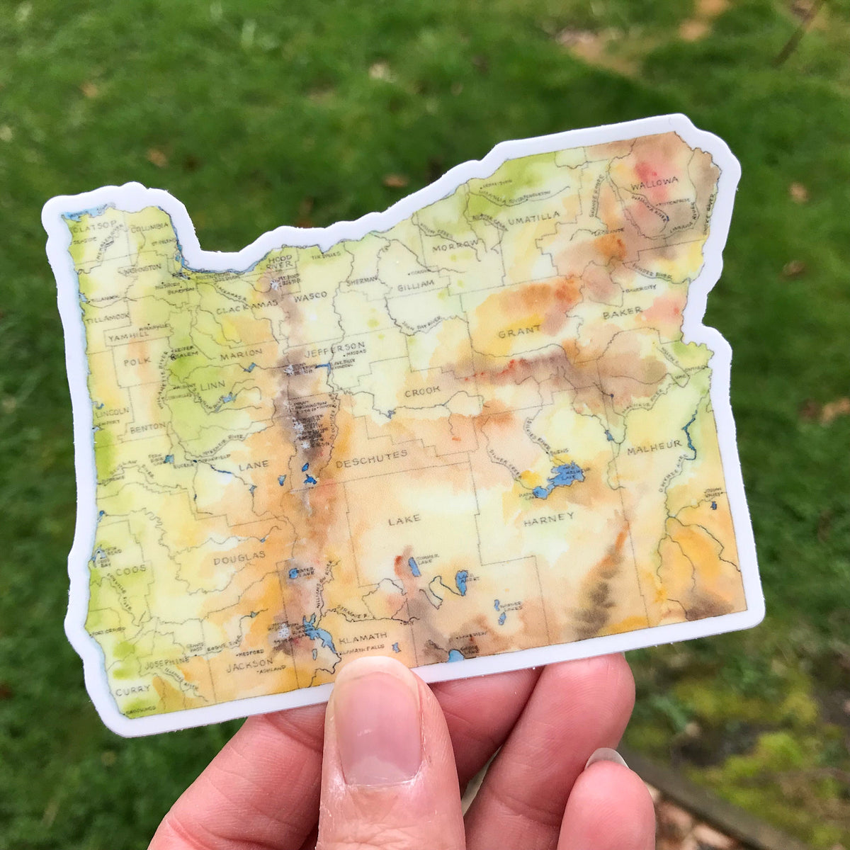 Oregon Vinyl Sticker – Elizabeth Person Art & Design